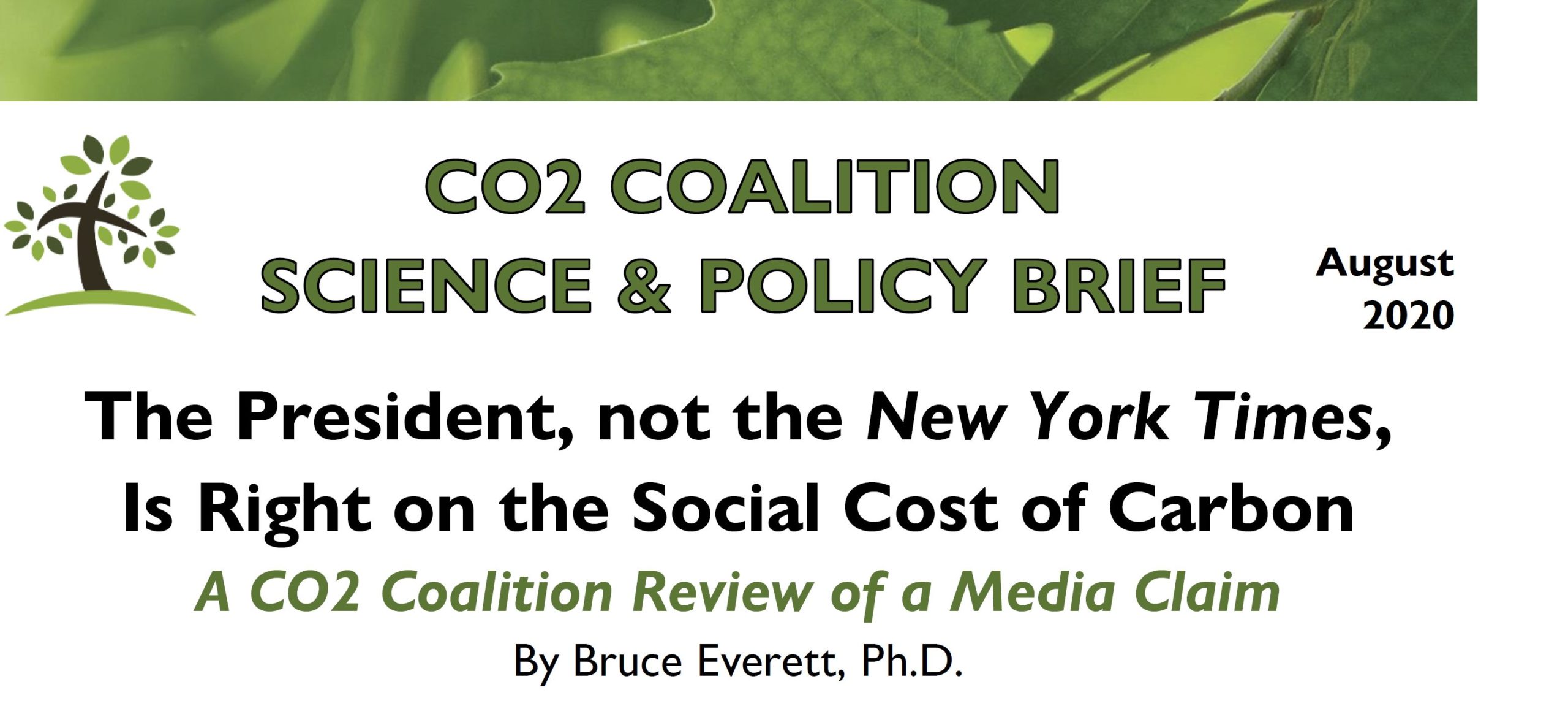 The President, not the New York Times, Is Right on the Social Cost of ...