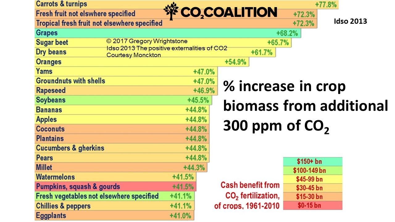 More CO2 Means More Plant Growth CO2 Coalition More CO2 Means More Plant Growth CO2 Coalition