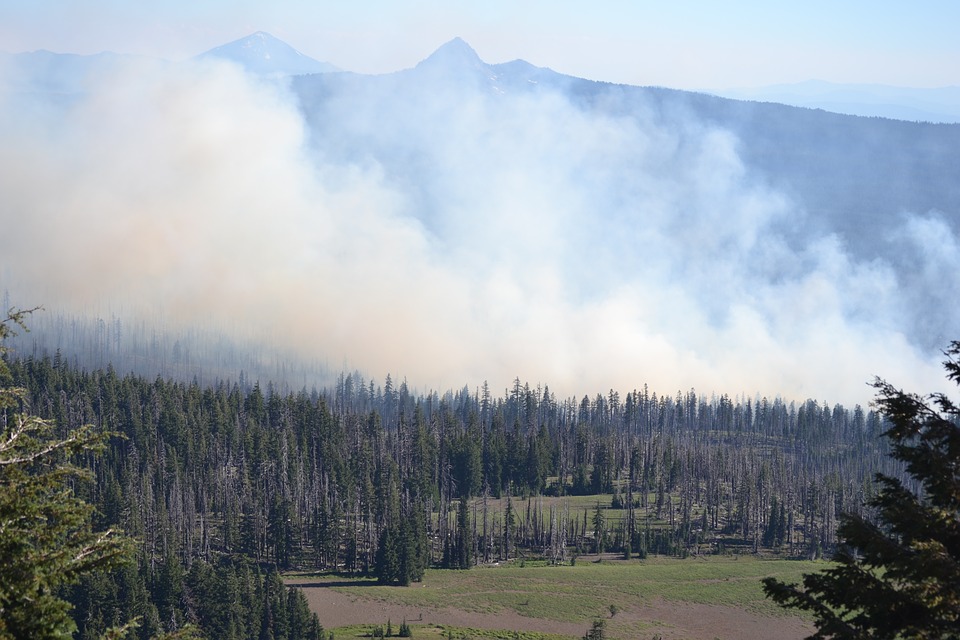 MEDIA PROMOTES BADLY FLAWED SCIENCE & SPREADS IT LIKE WILDFIRE - CO2 ...