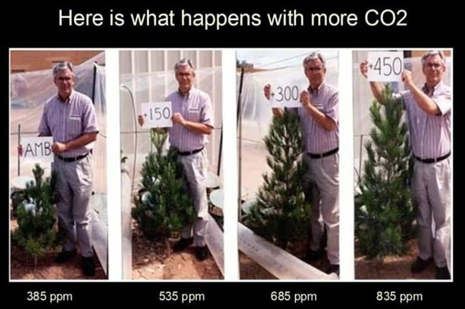 William Happer, Richard Lindzen and CO2 Coalition comment on the 4th ...