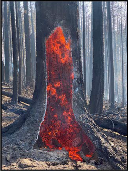 A Growing Sea of Snags: North Umpqua River Wildfires, 2002-2022 - Risks ...