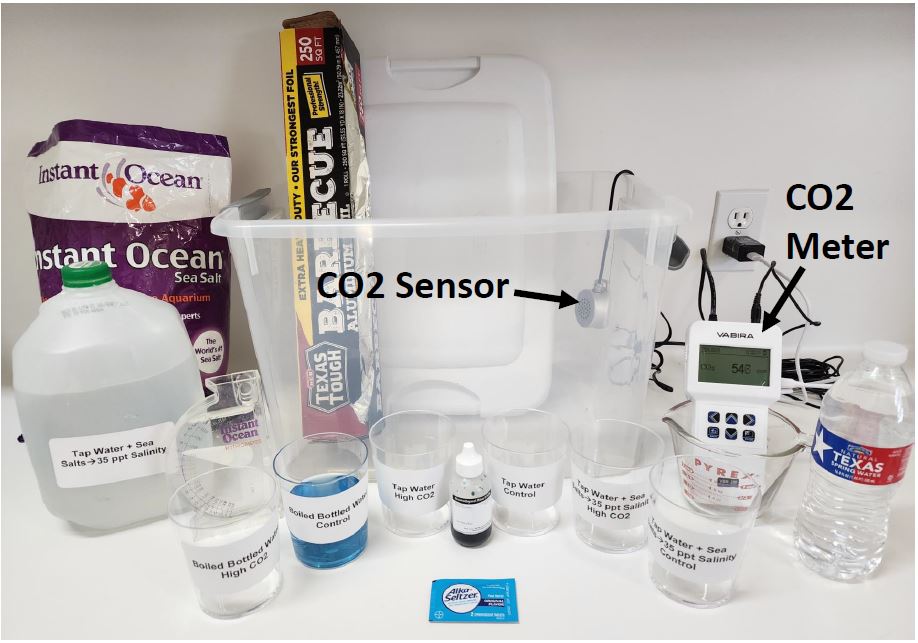 An Experiment in Ocean Acidification: Why Buffering Matters - CO2 Coalition