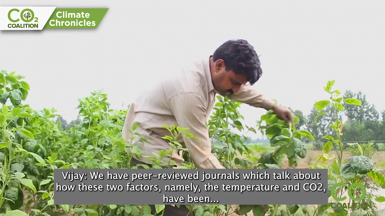India Farms Flourish with CO2 | Climate Chronicles - CO2 Coalition