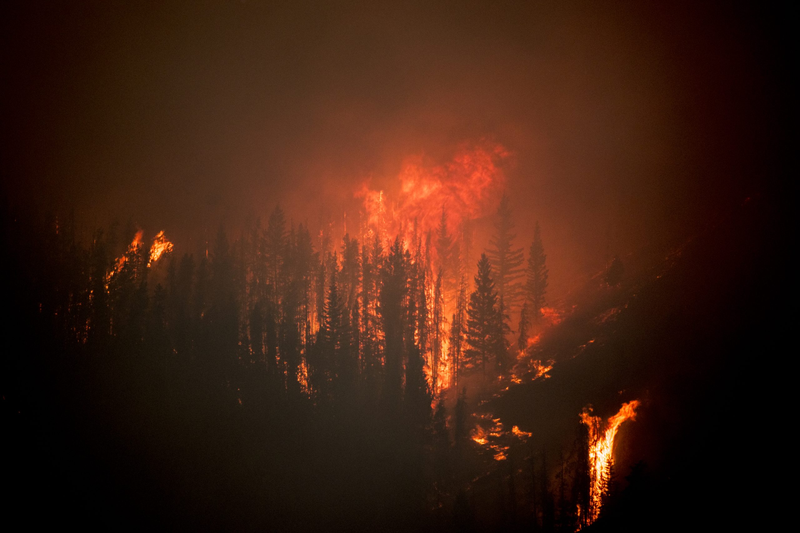 CA Lawmaker Claims Wildfires are ‘Being Driven by Climate Change’ - CO2 ...