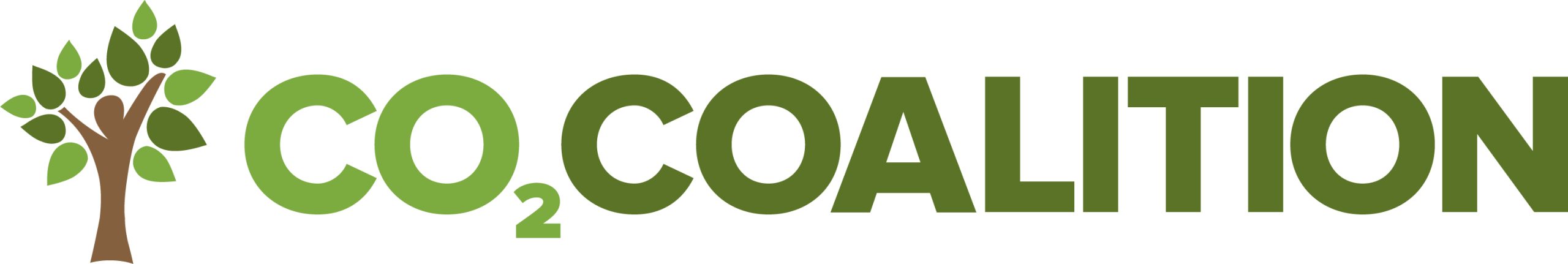Job Announcement: Executive Director - CO2 Coalition